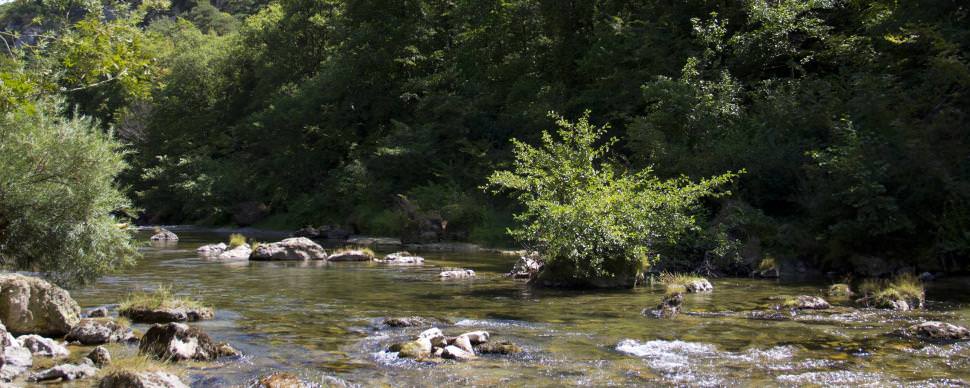 Les Gorges de la Dourbie en Aveyron – guide touristique | Tourisme Aveyron