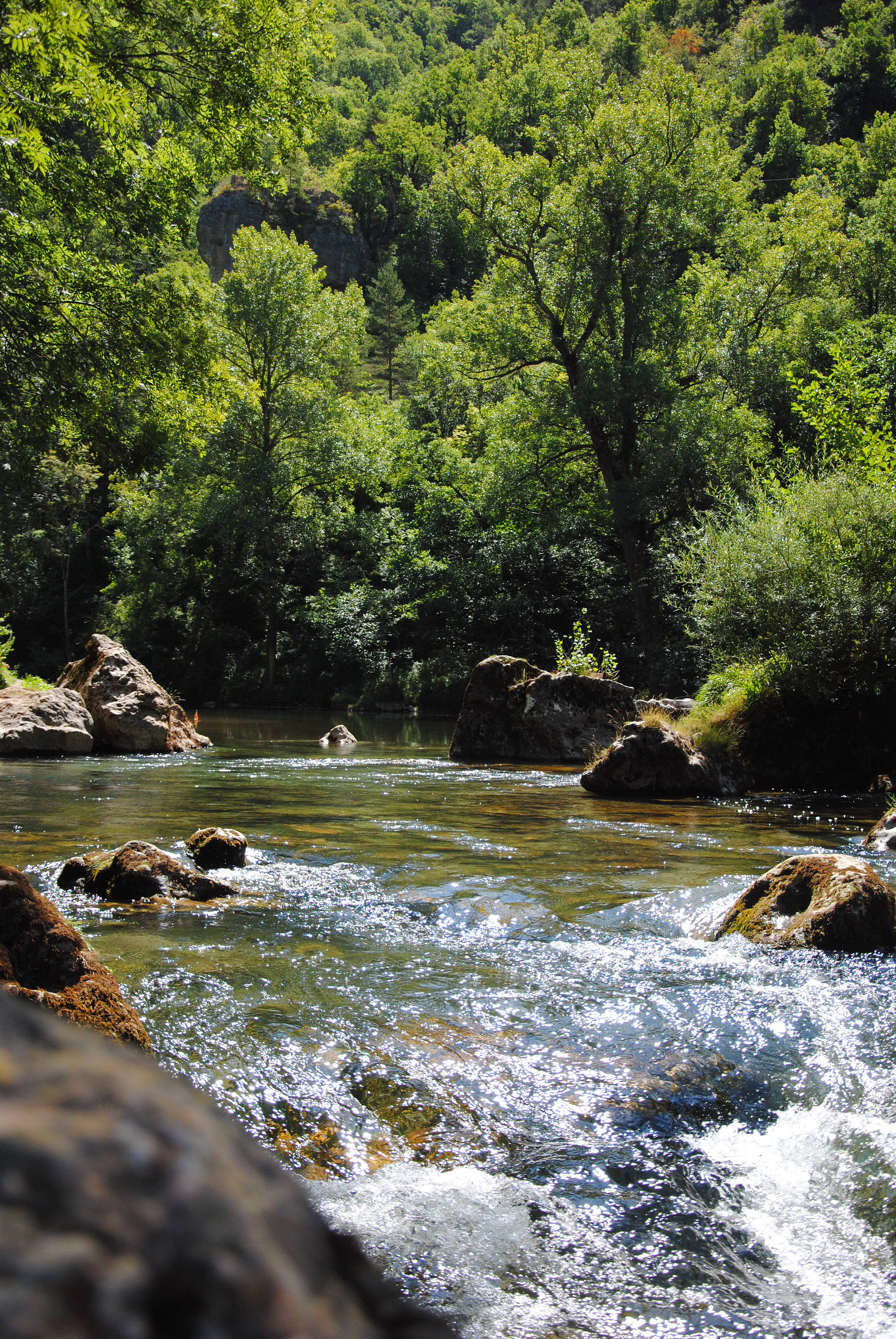 Les Gorges de la Dourbie en Aveyron – guide touristique | Tourisme Aveyron