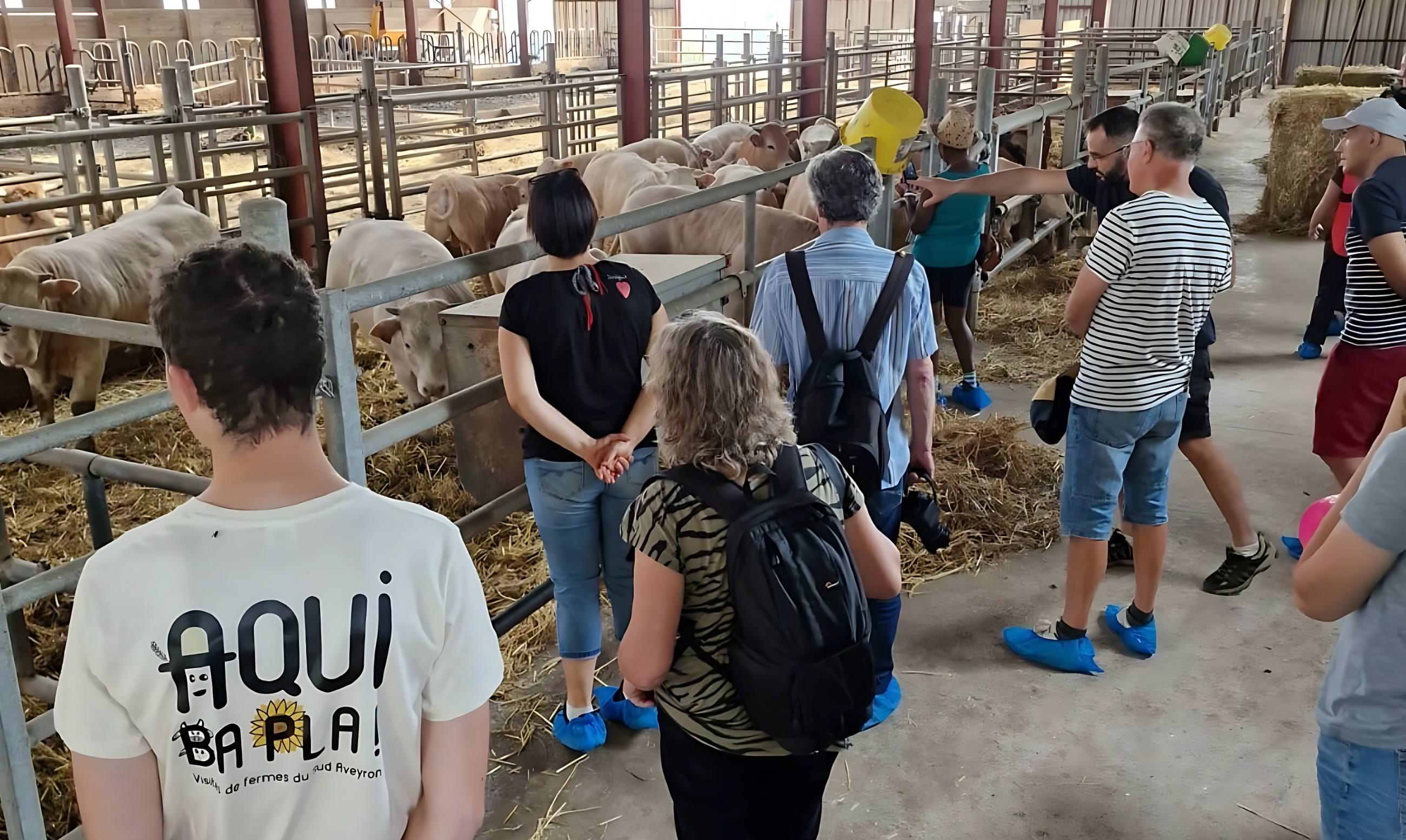 Visites de ferme Rougier Aveyron Sud | Tourisme Aveyron